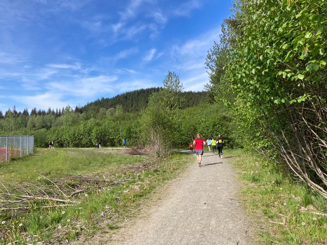 Frak! JavaScript required